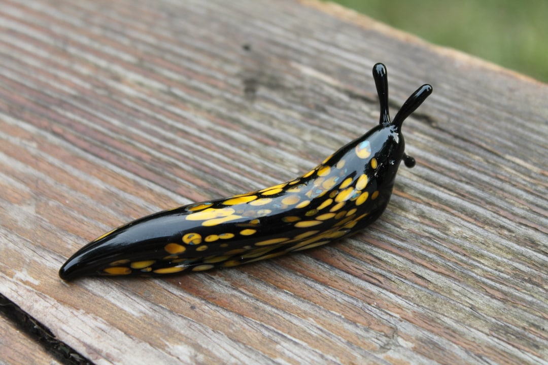 Spotted Slug Glass Sculpture GLASS SLUG Lampwork Glass Animals ...