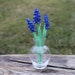 Glass Flower Muscari, Muscari Spring Arrangement, Bouquet, Botanical ...