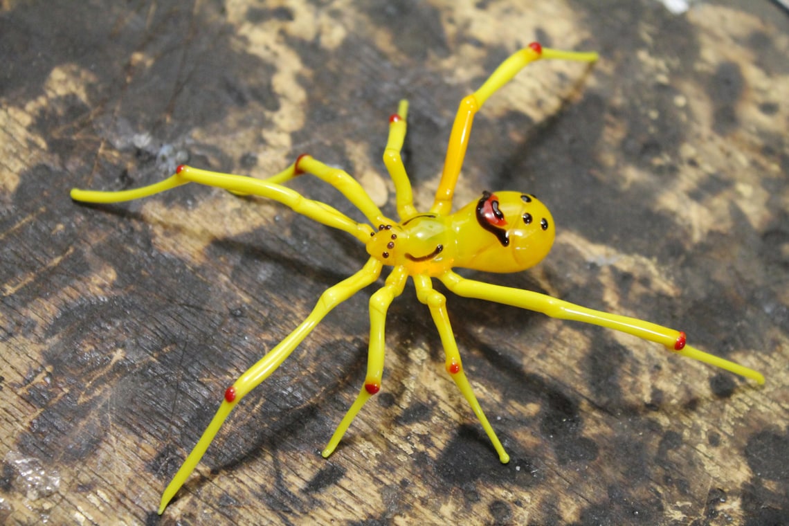 The happy-face spiders Theridion grallator Hawaiian | Etsy