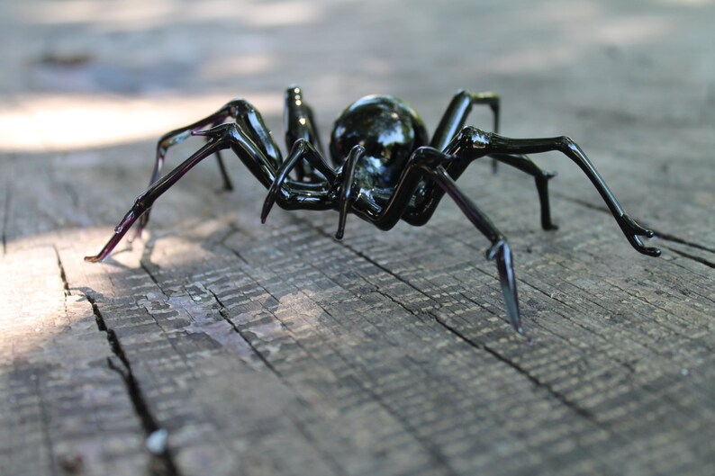 Glass Spider, Spider Blown Glass, Art Glass, Spider Halloween, Blown ...