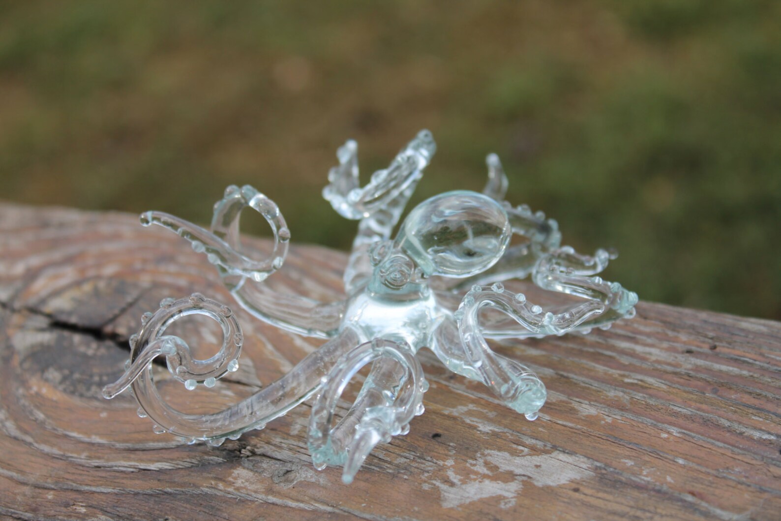Blown Glass Octopus Glass Octopus Glass Octopus Ocean - Etsy