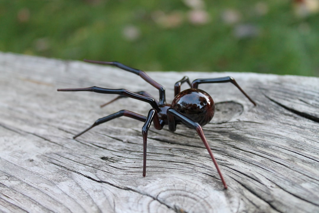GLASS SPIDER Lampwork Handcrafted Glass Animal, Art Glass Spider ...