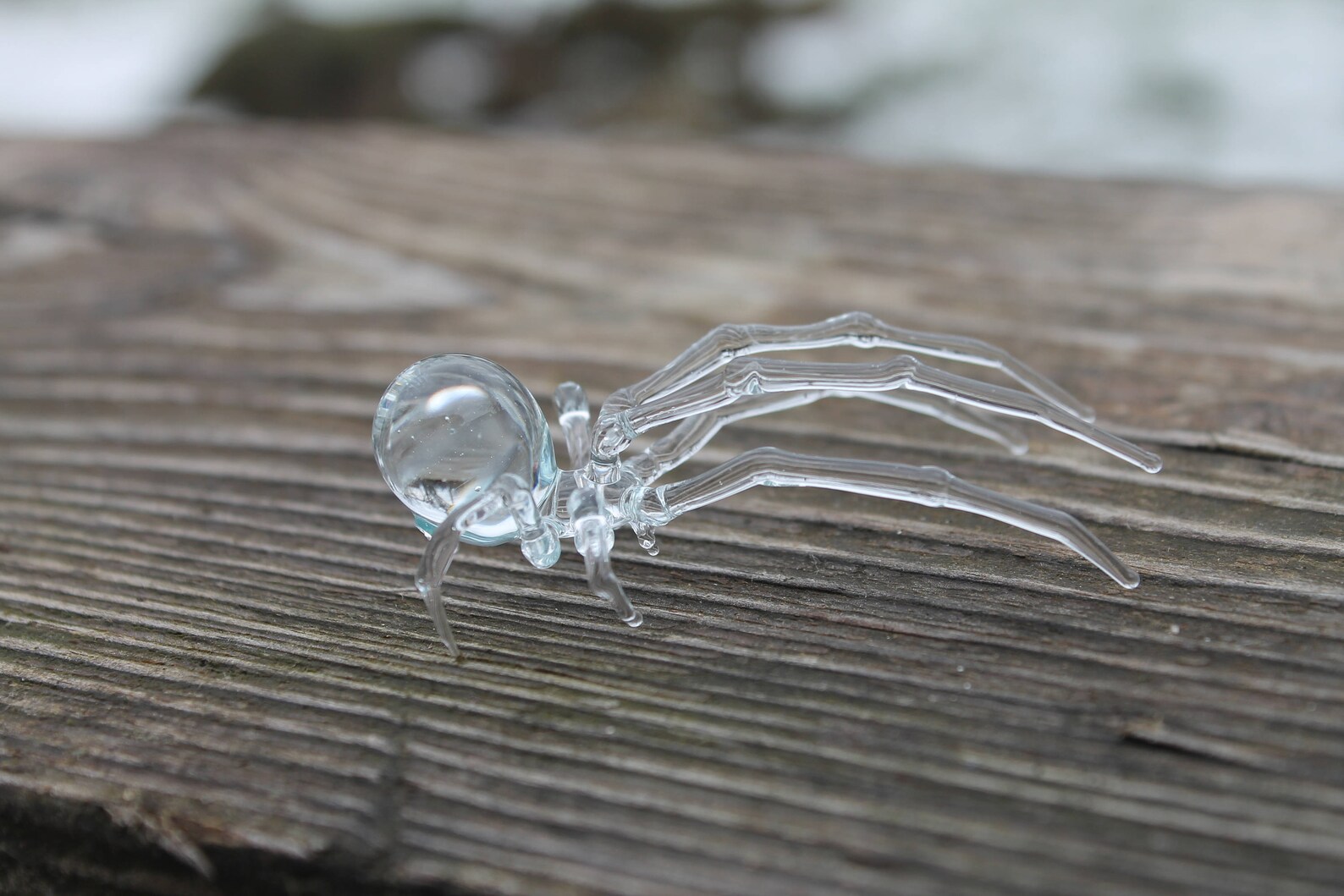 Blown Glass Figurine Art Insect Spider Clear Spider Halloween - Etsy