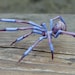 Glass Spider Glass Insect Blown Glass Spider Sculpture - Etsy