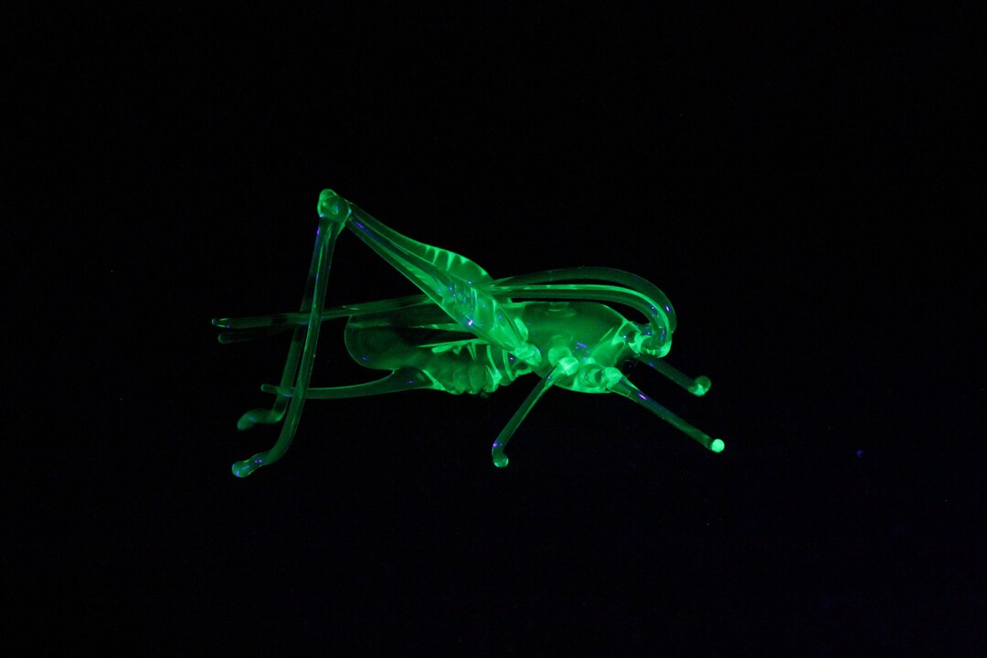 Uranium Glass Grasshopper Glass UV Insects Sculpture Collectible ...