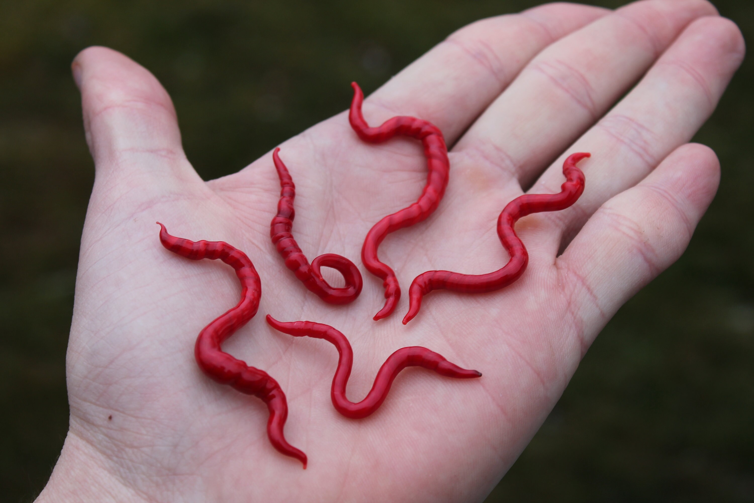 Glass Murano Worm Creature Figurine Glass Worm Decor Party - Etsy