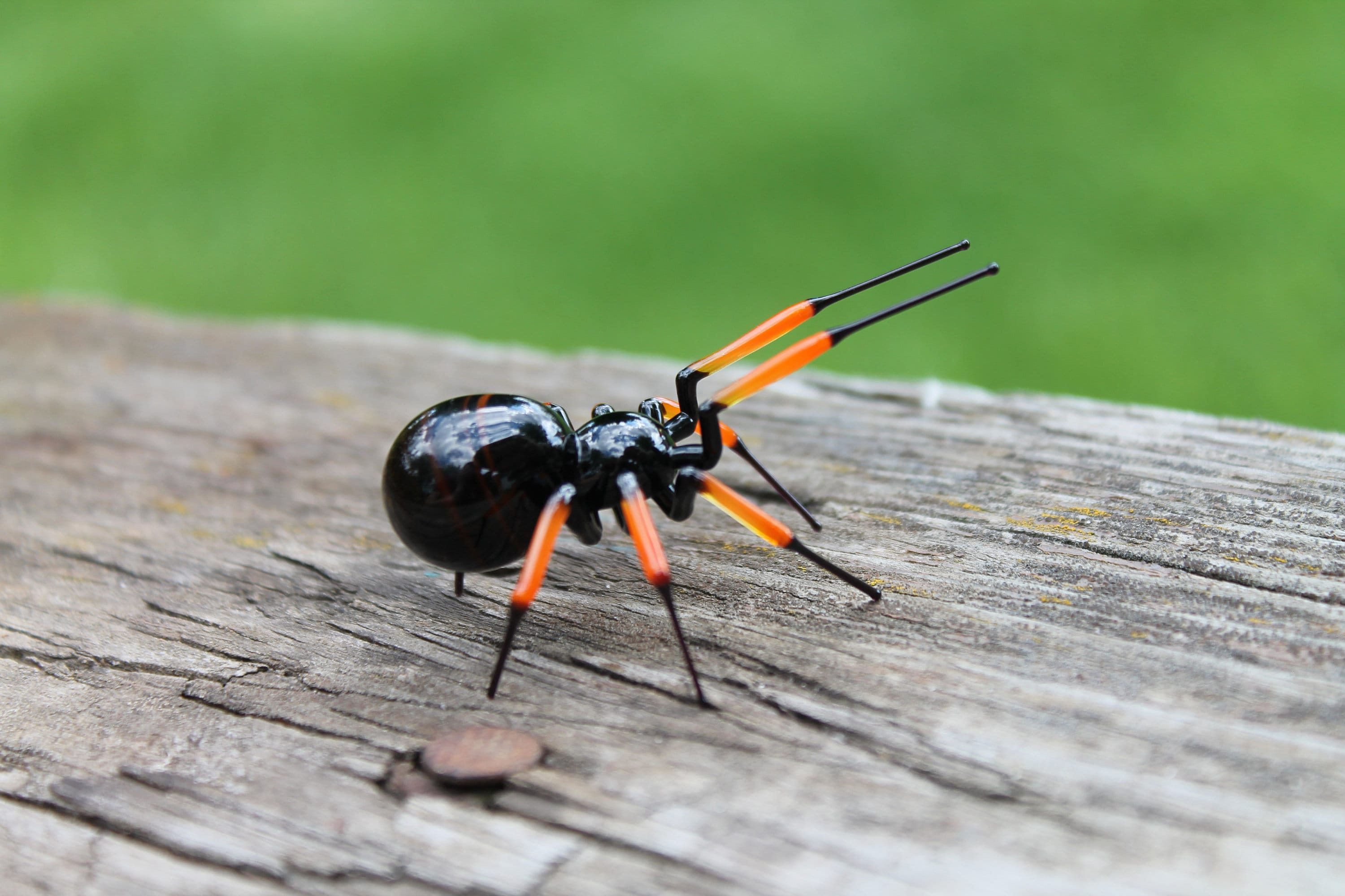 Glass Spider Figurine Blown Glass Spider Glass Spider - Etsy
