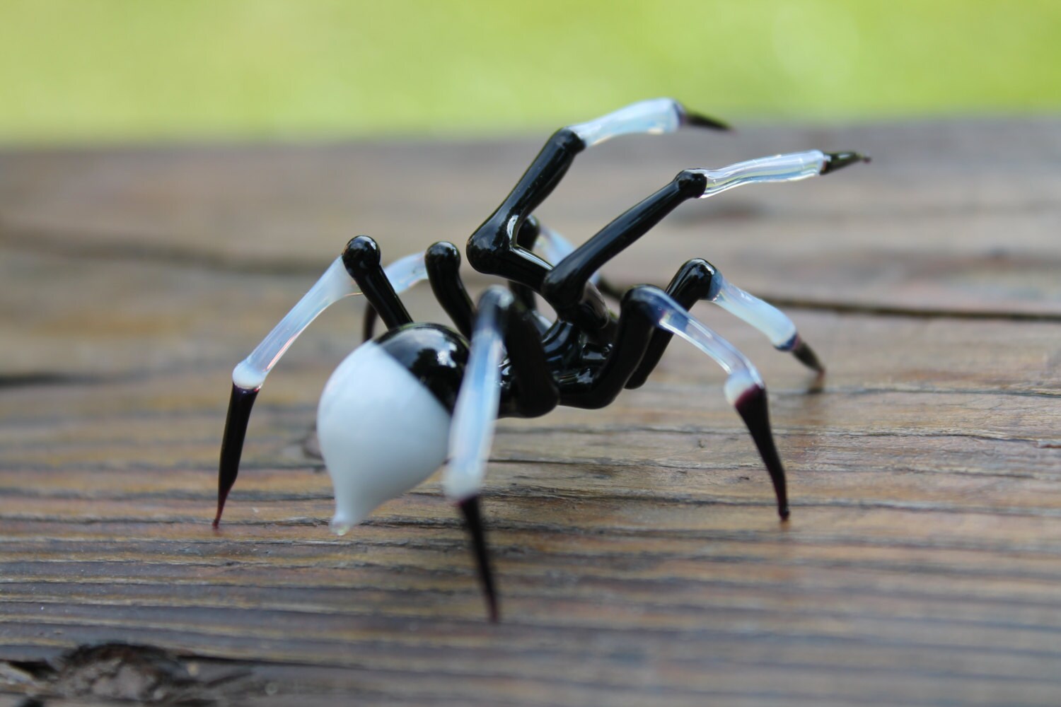 Glass Spider, Spider Blown Glass, Art Glass, Blown Glass Art, Blown ...