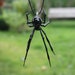 Pendant Spider Animals Glass, Hanging Blown Glass Spider, Blown Glass