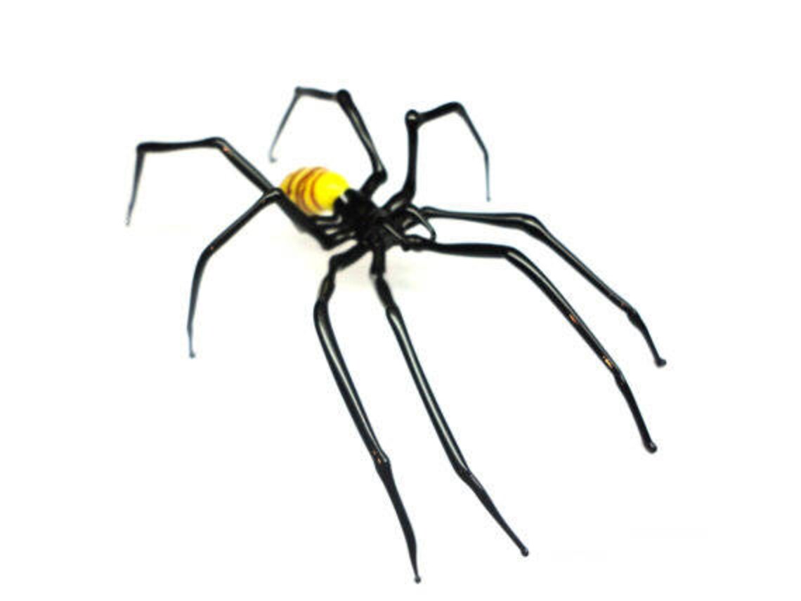 Spider Animals Glass, Art Glass Spider, Blown Glass, Spider Halloween ...