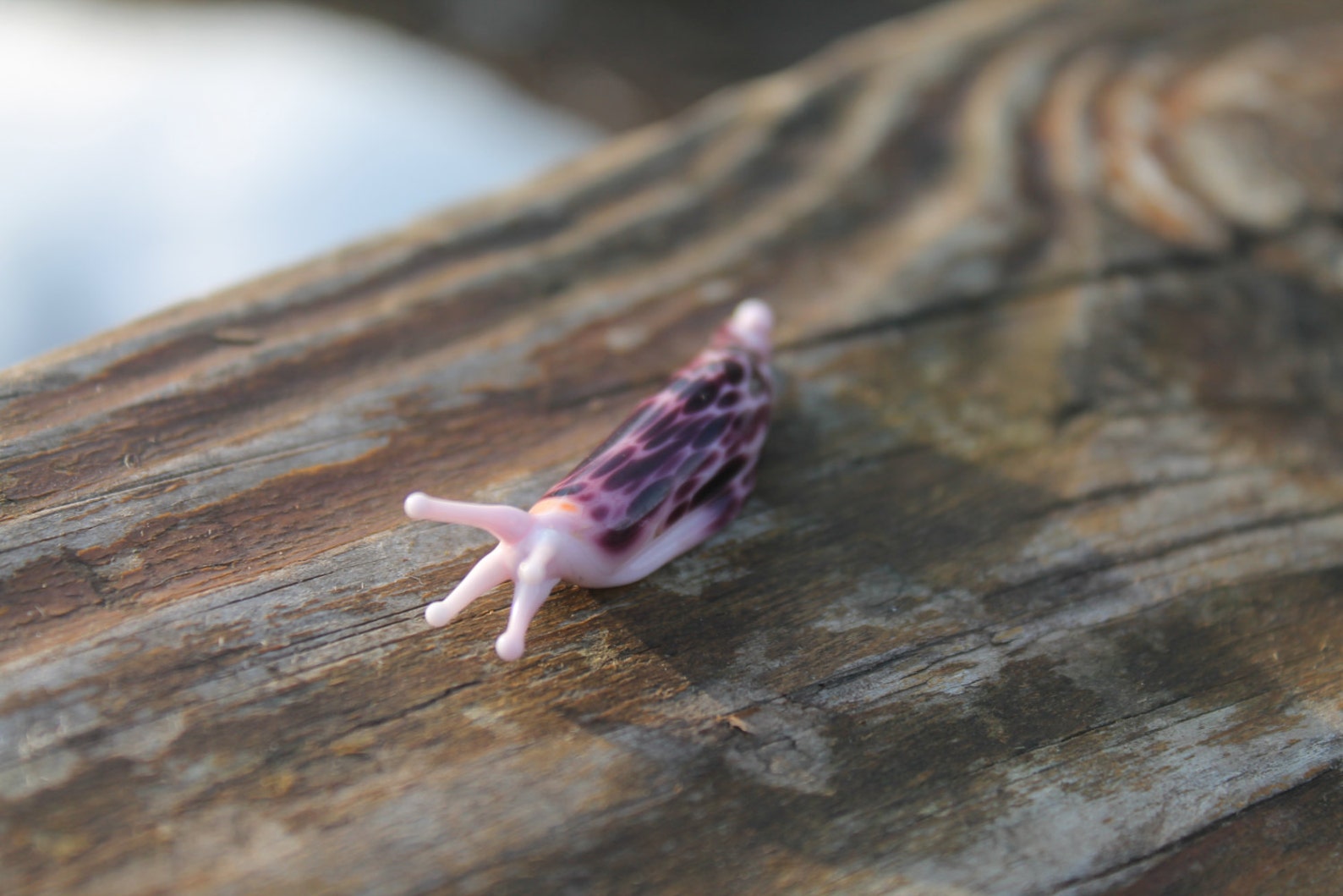 Spotted Slug Glass Sculpture GLASS SLUG Lampwork Glass Animals - Etsy