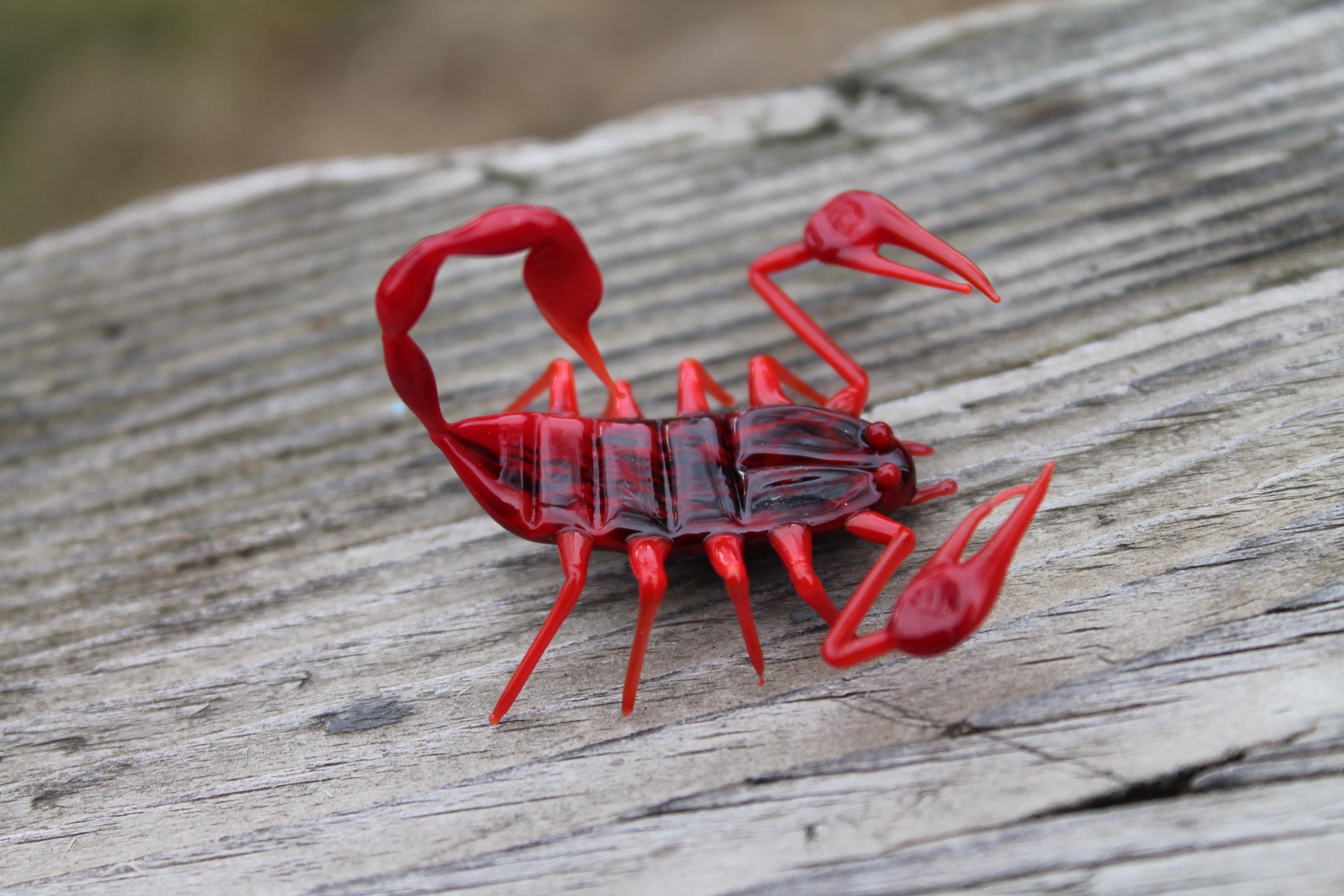 Bright Red Scorpion Glass Miniature, Animals Glass, Art Glass, Blown ...