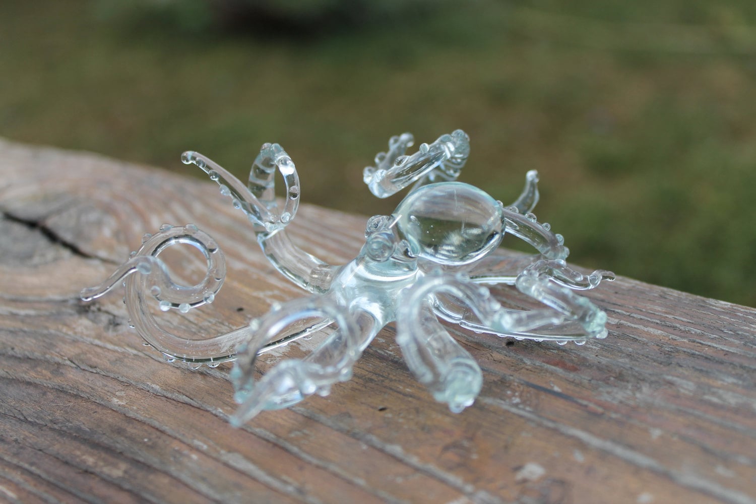 Blown Glass Octopus, Glass Octopus, Glass, Octopus, Ocean, Octopus ...