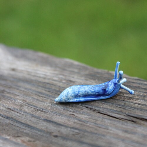 Spotted Slug Glass Sculpture GLASS SLUG Lampwork Glass Slug - Etsy