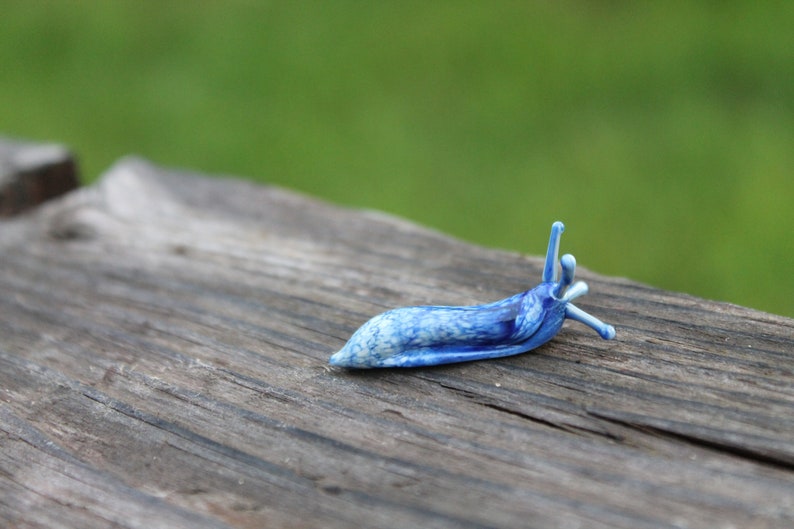 Spotted Slug Glass Sculpture GLASS SLUG Lampwork Glass Slug - Etsy