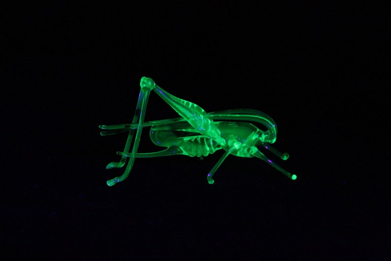 Uranium Glass Grasshopper Glass UV Insects Sculpture Collectible ...