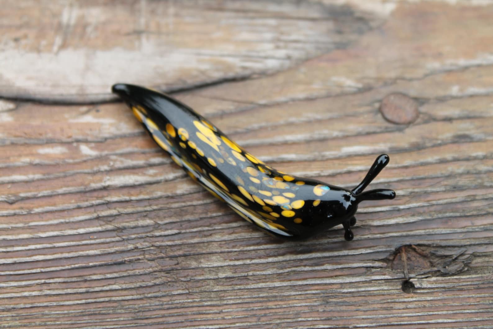 Spotted Slug Glass Sculpture GLASS SLUG Lampwork Glass Animals | Etsy ...