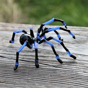 Hand Blown Glass Tarantula Blown Glass Tarantula Spider Sculpture ...