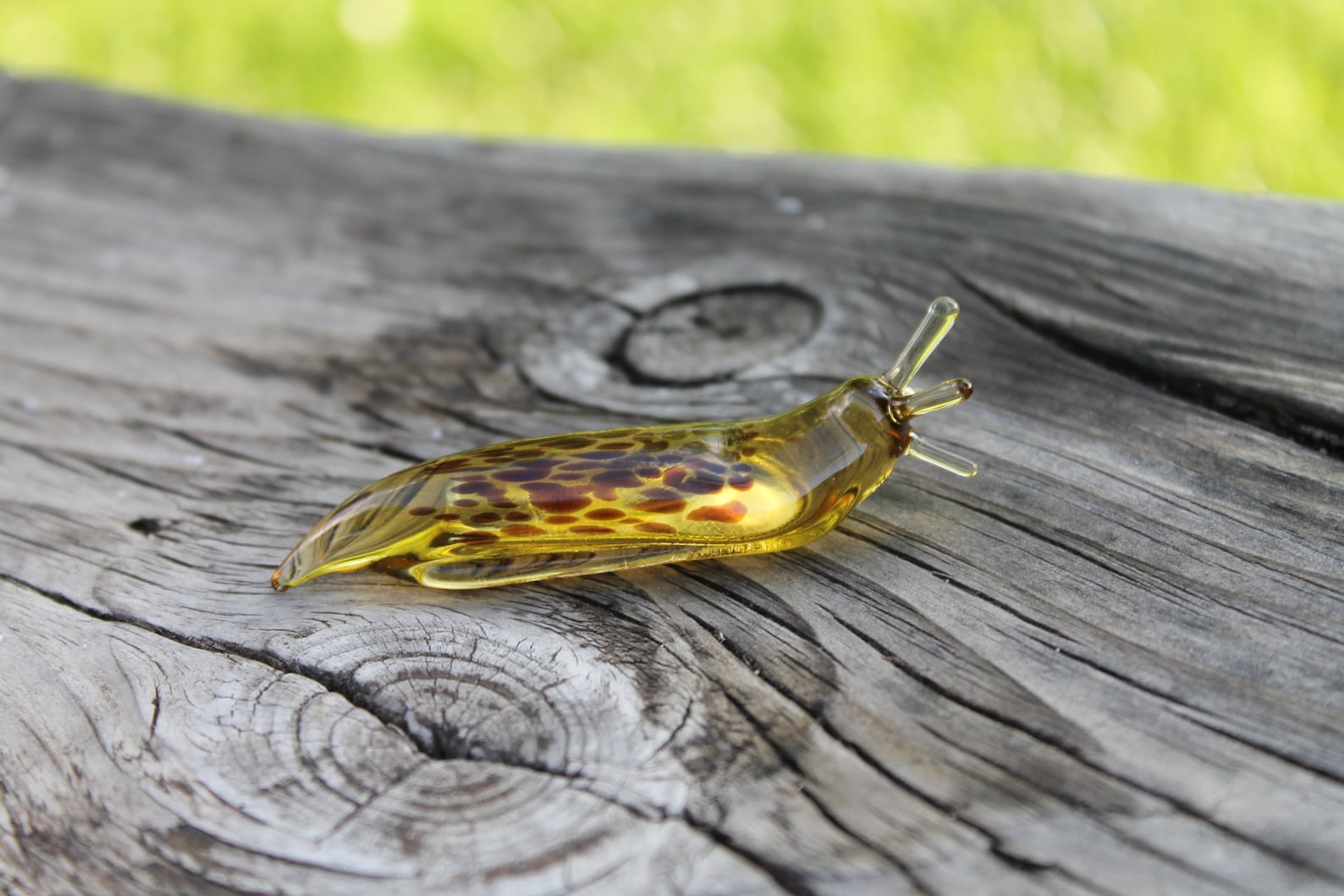 Spotted Slug Glass Sculpture GLASS SLUG Lampwork Glass Animals - Etsy