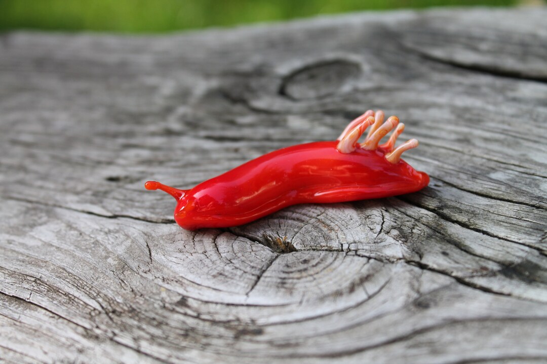 Nudibranch - Sea Slug Glass Sculpture - Slug Figure - Sea Slug ...