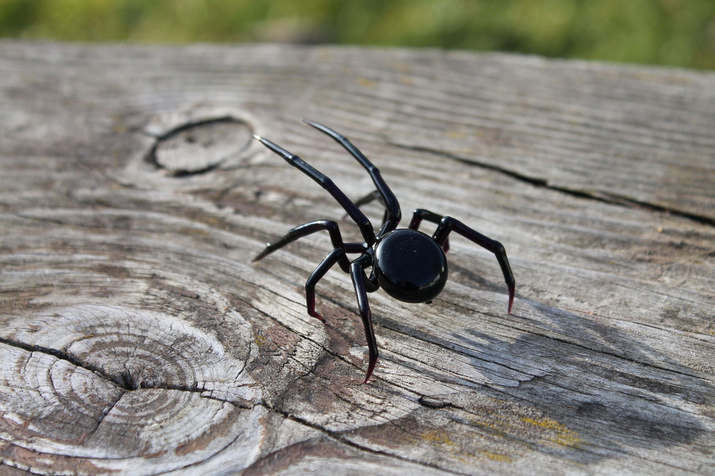 Spider Animals Glass, Art Glass, Blown Glass, Blown Glass Figurine ...