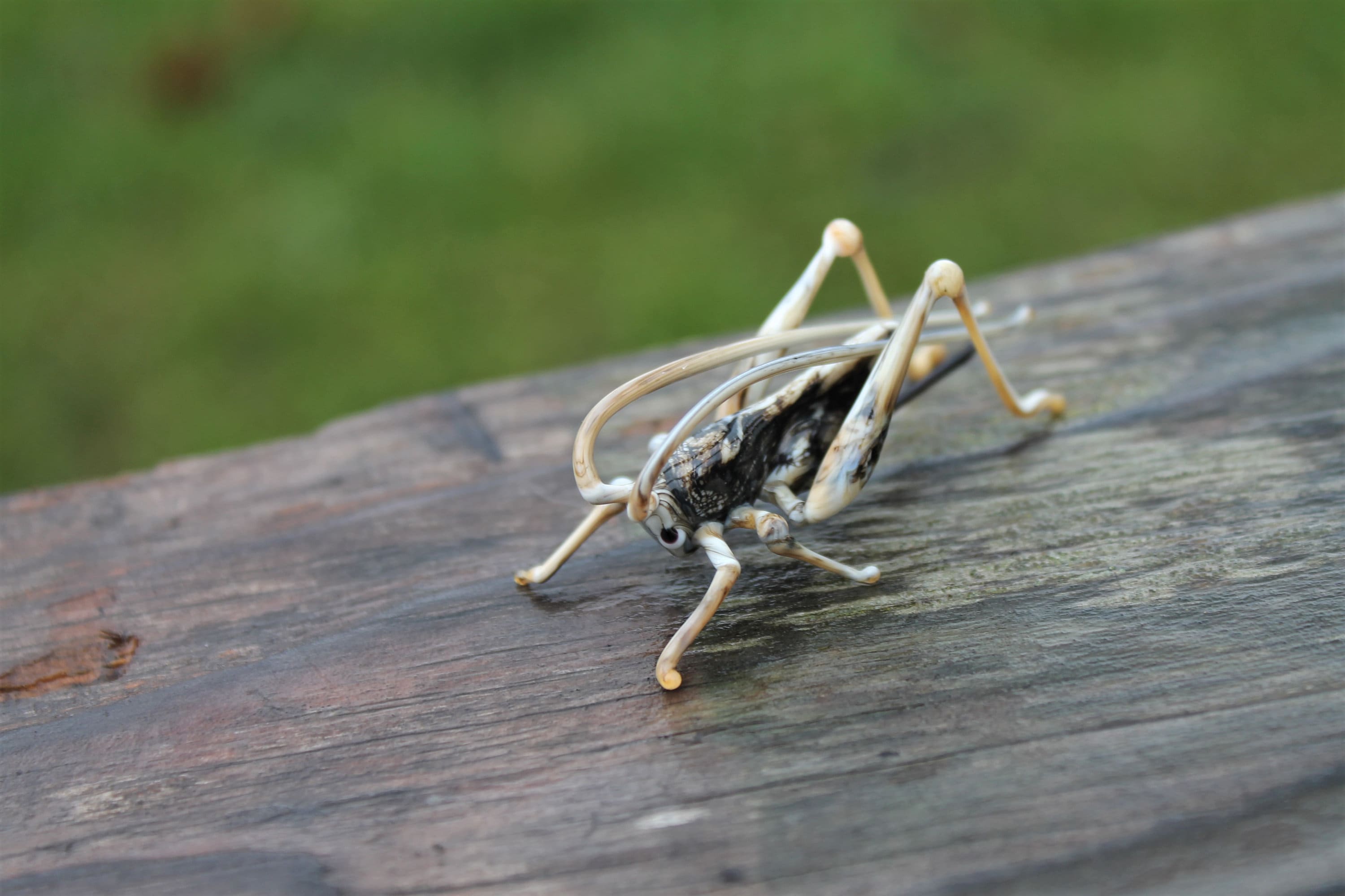 Glass Grasshopper Miniature Glass Insects Sculpture Collectible ...