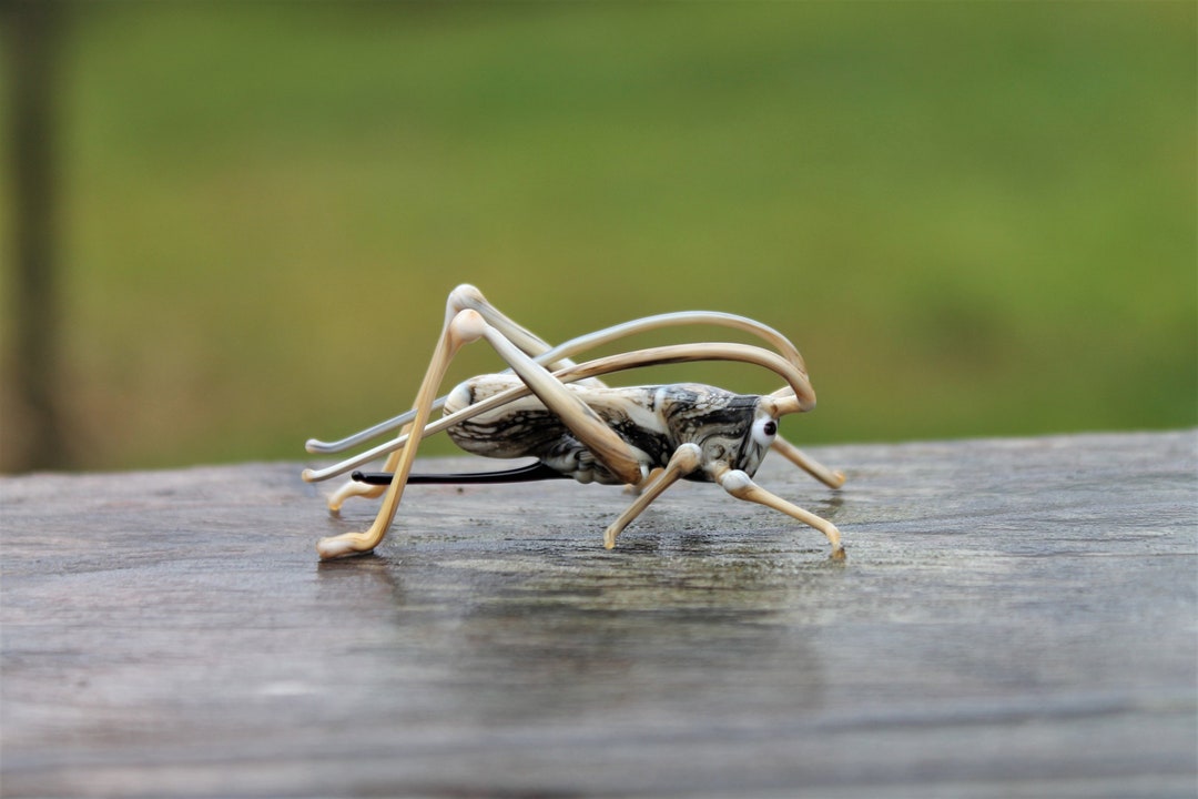 Glass Grasshopper Miniature Glass Insects Sculpture Collectible ...