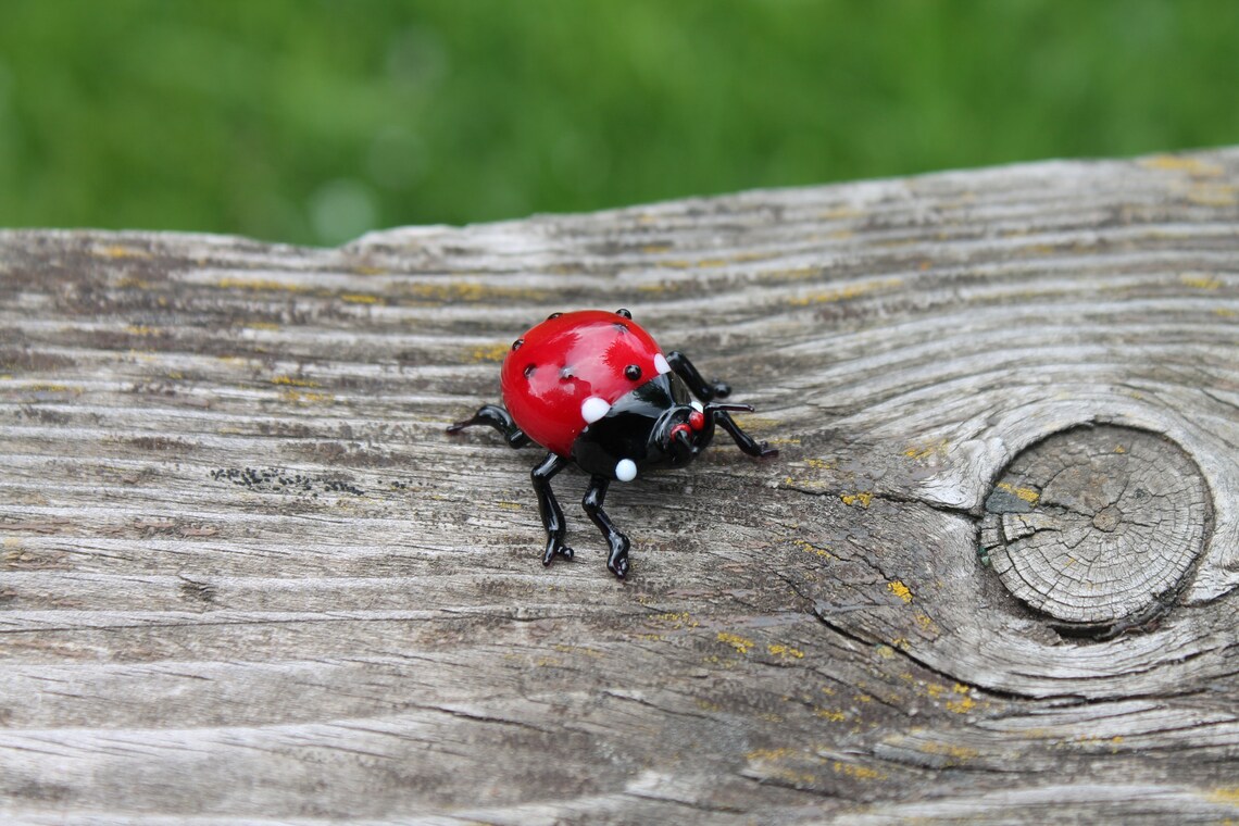 Glass Ladybird Figurine Glass Insects Figure Hand Blown Glass - Etsy