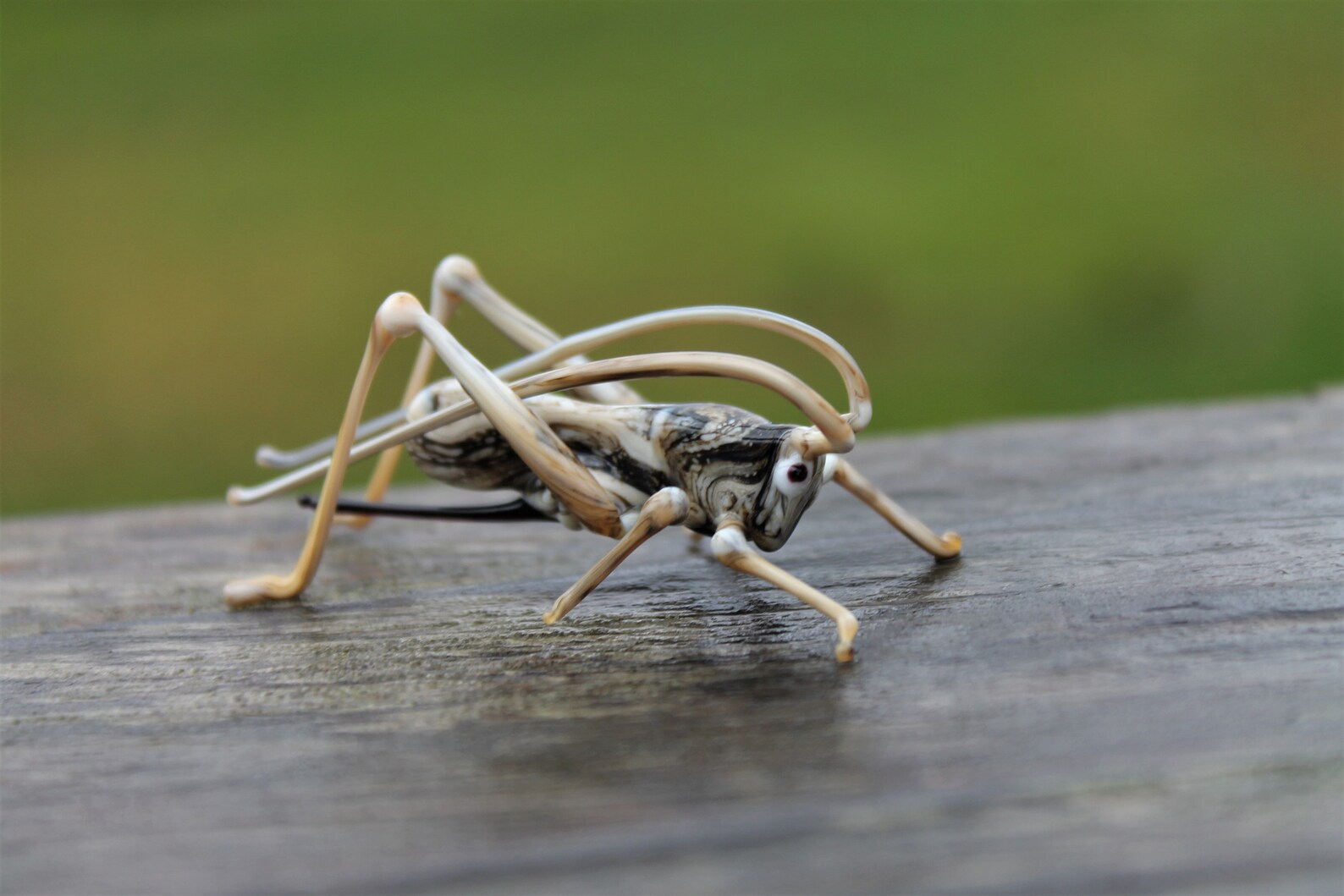 Glass Grasshopper Miniature Glass Insects Sculpture Collectible ...