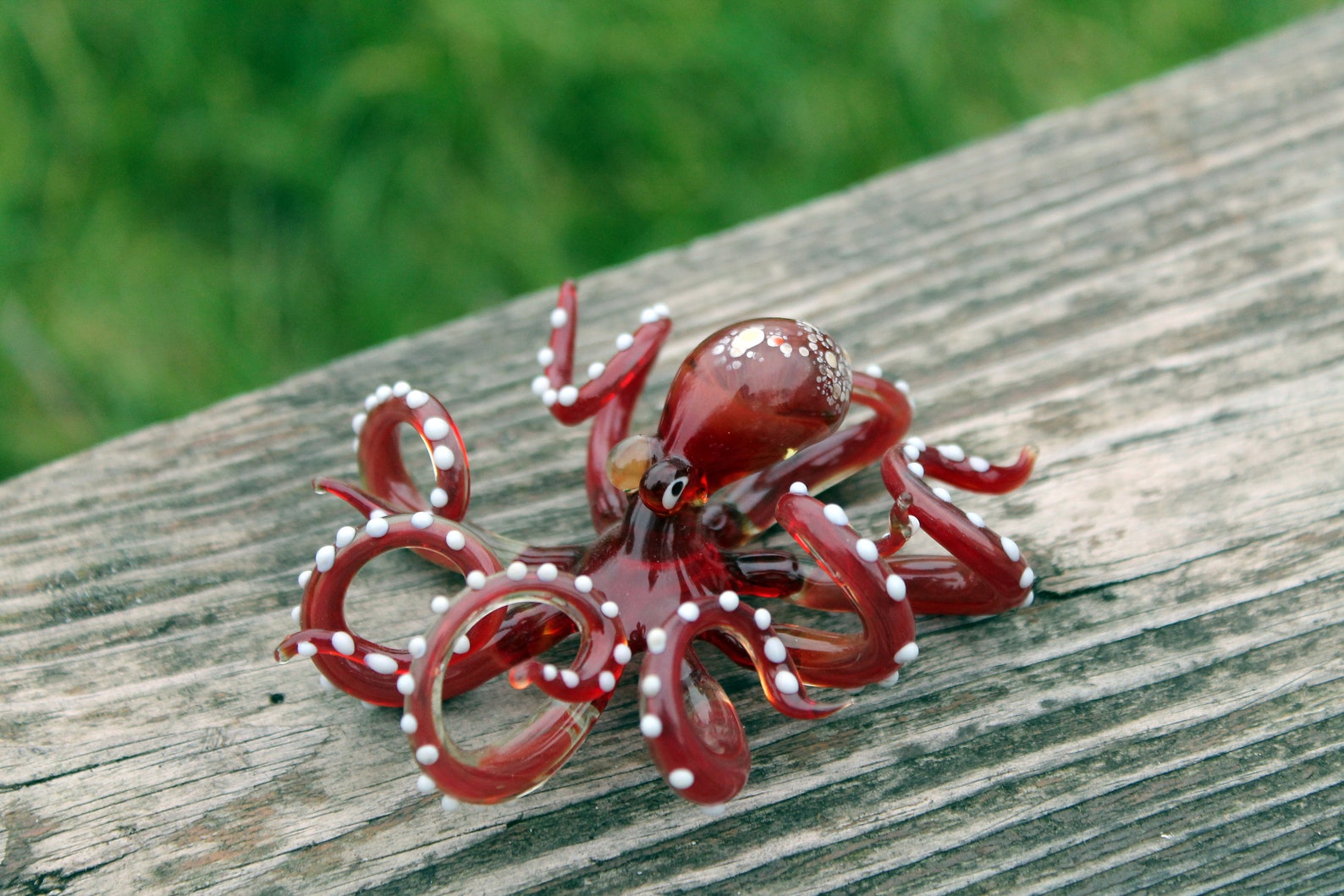 Blown Glass Octopus, Glass Octopus, Glass, Octopus, Ocean, Octopus ...