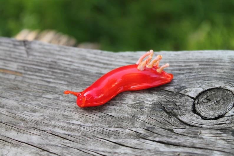 Nudibranch - Sea Slug Glass Sculpture - Slug Figure - Sea Slug ...