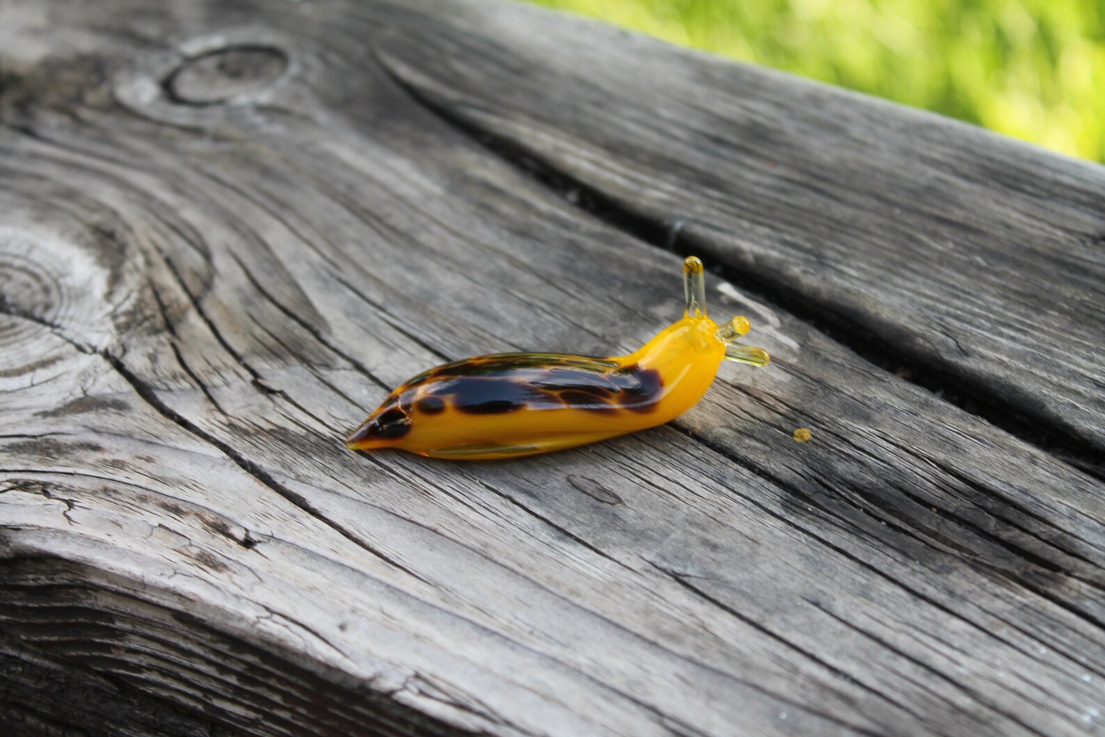 Spotted Slug Glass Sculpture GLASS SLUG Lampwork Glass Animals - Etsy