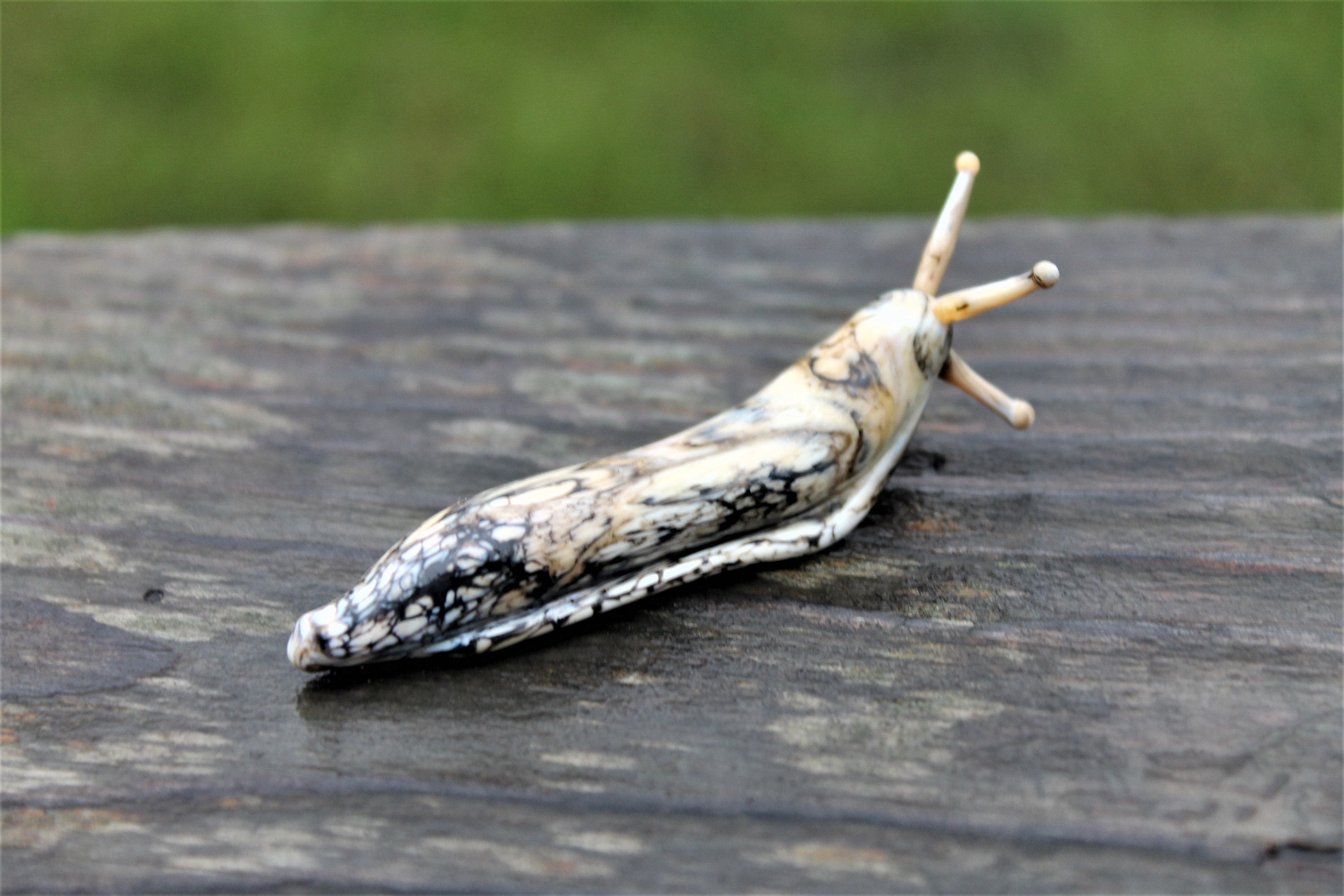Spotted Slug Glass Sculpture GLASS SLUG Lampwork Glass Animals - Etsy