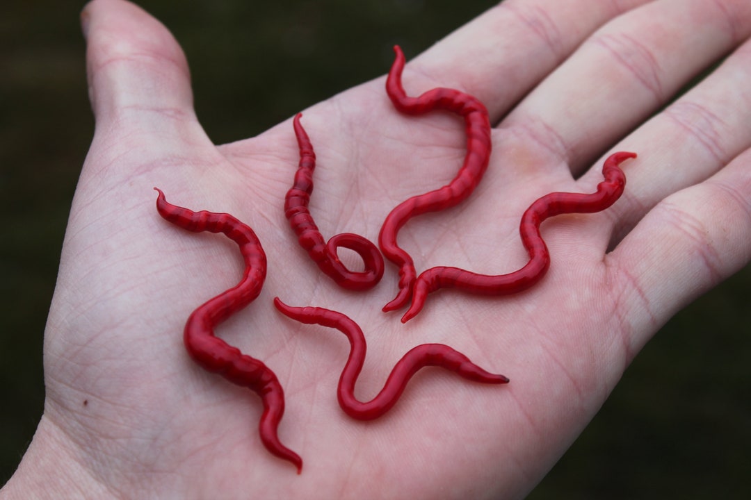 Glass Murano Worm Creature Figurine Glass Worm Decor Party Lampwork ...