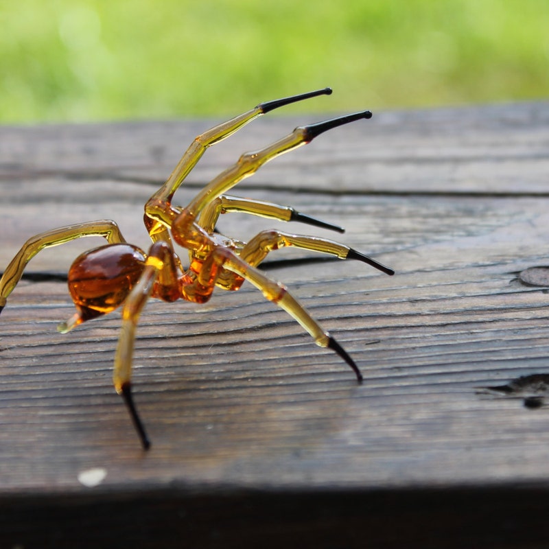 Samini Spiderini Ritual - Etsy Canada