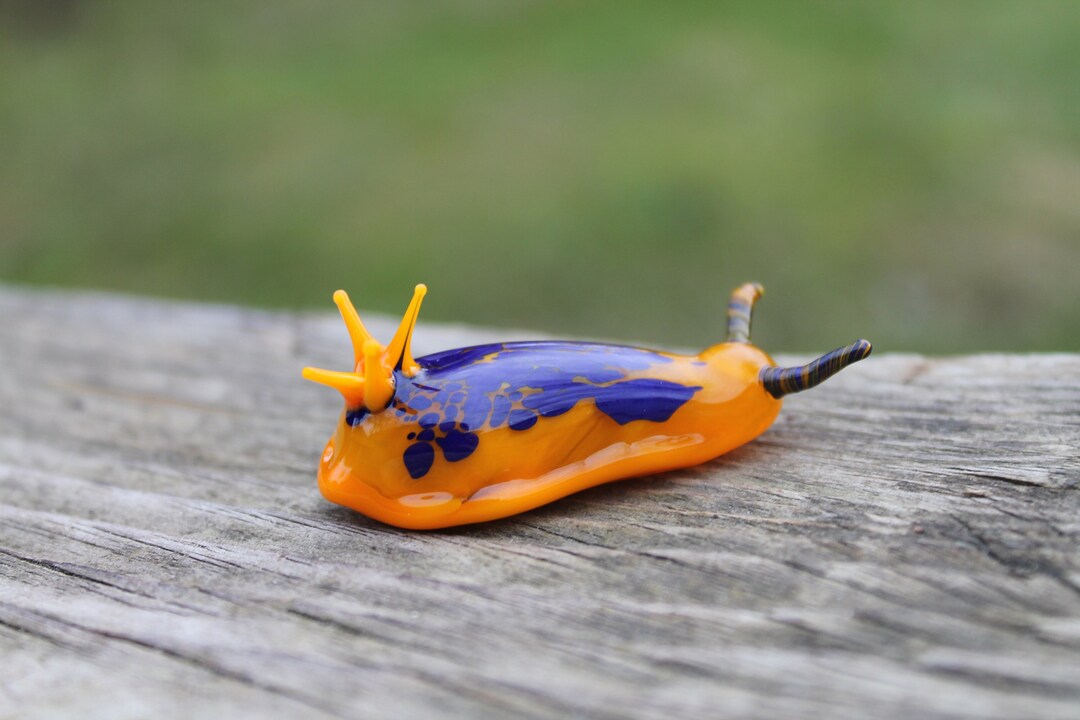 Nudibranch - Sea Slug Glass Sculpture - Slug Figure - Sea Slug - Bunny ...
