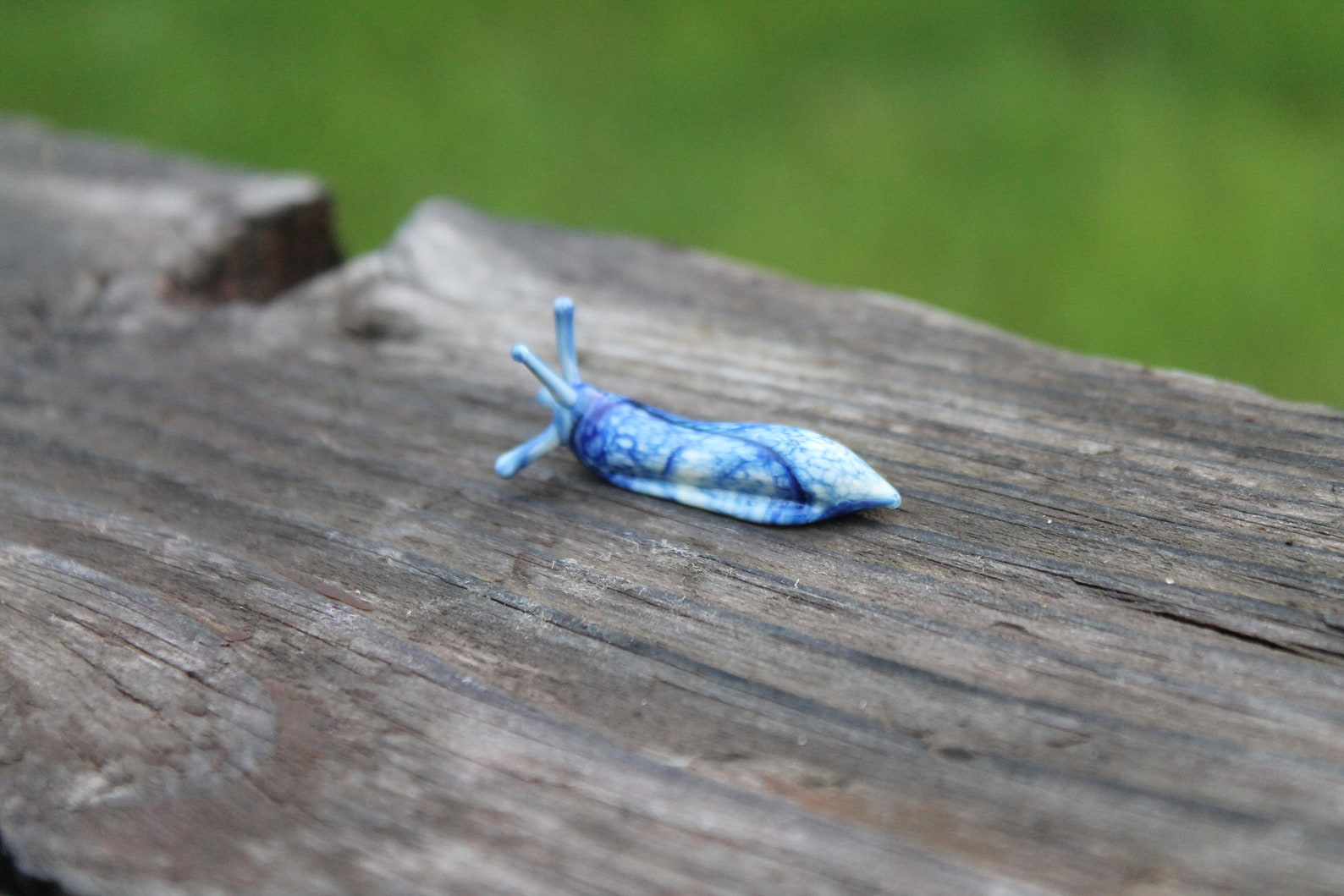 Spotted Slug Glass Sculpture GLASS SLUG Lampwork Glass Slug - Etsy
