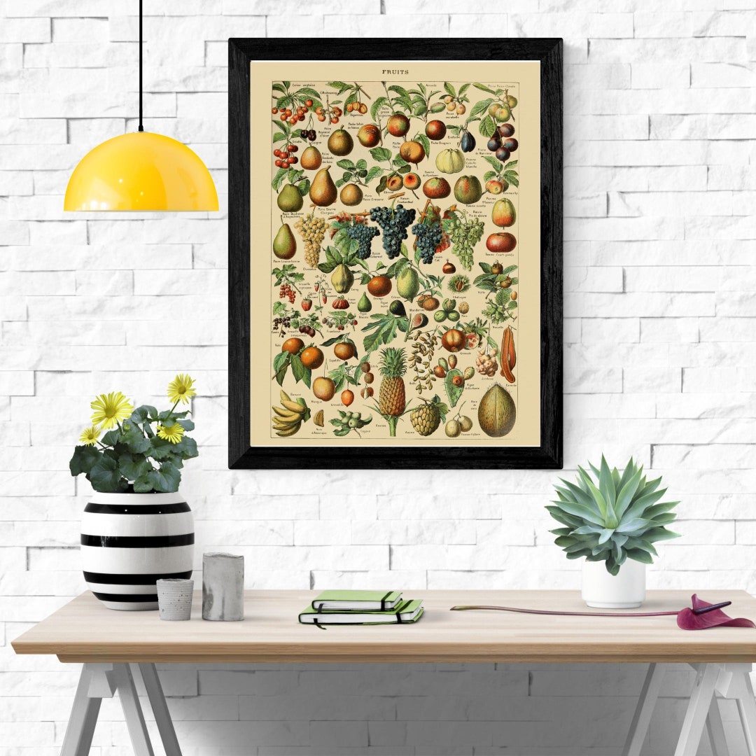 Vintage Fruit Illustrated Print, French Nature Art Poster, Cooking ...
