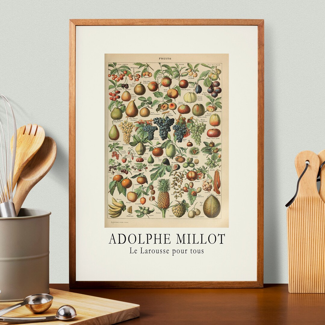 Adolphe Millot Fruit Print No. 1, Vintage French Art Poster, Nature ...