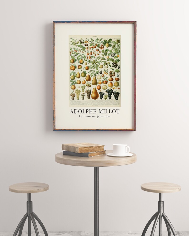 Fruit Chart Print No. 2 by Adolphe Millot: Vintage French Botanical ...