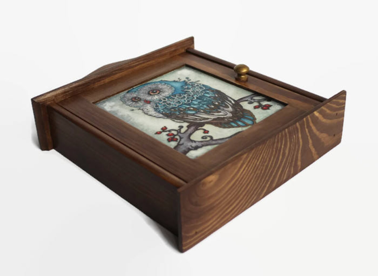 Owl Key Cabinet Wooden Key Holder Blue Owl Key Box Gold Lock Brown Key ...