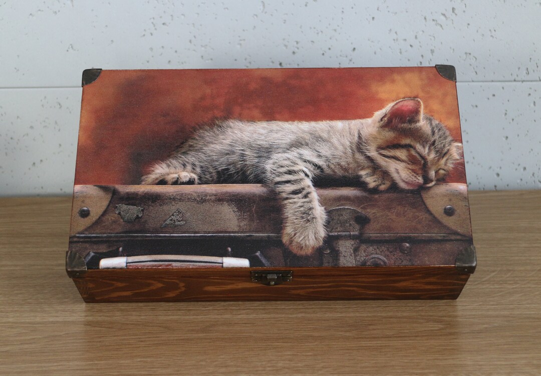 Suitcase Organizer Watch Box Jewelry Cat Box Wooden Storage Box Cat ...