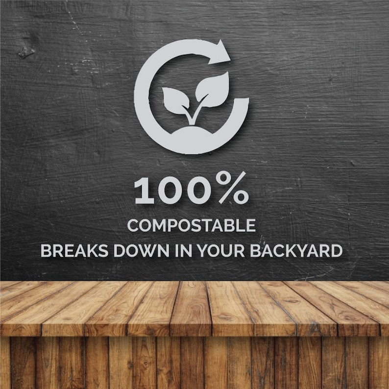 Sal Leaf Plates - 11" Round (50 Pack) - Etsy