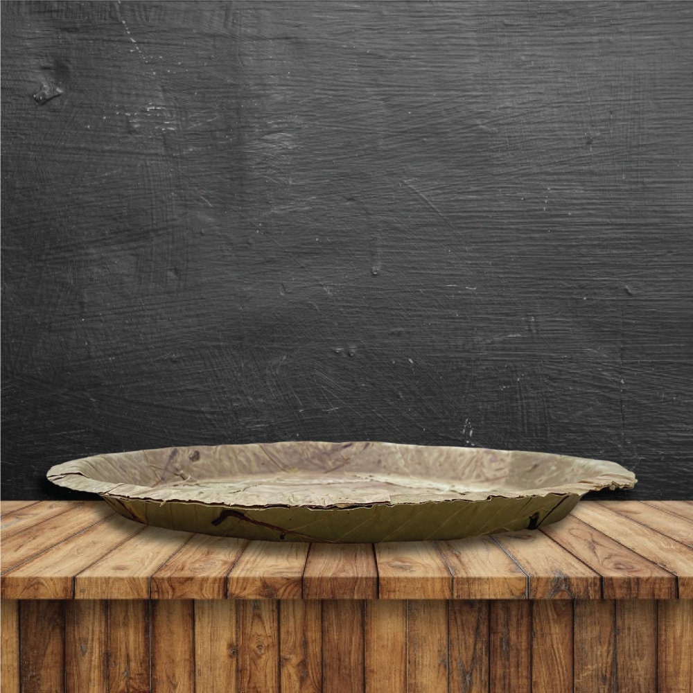 Sal Leaf Plates - 11" Round (50 Pack) - Etsy