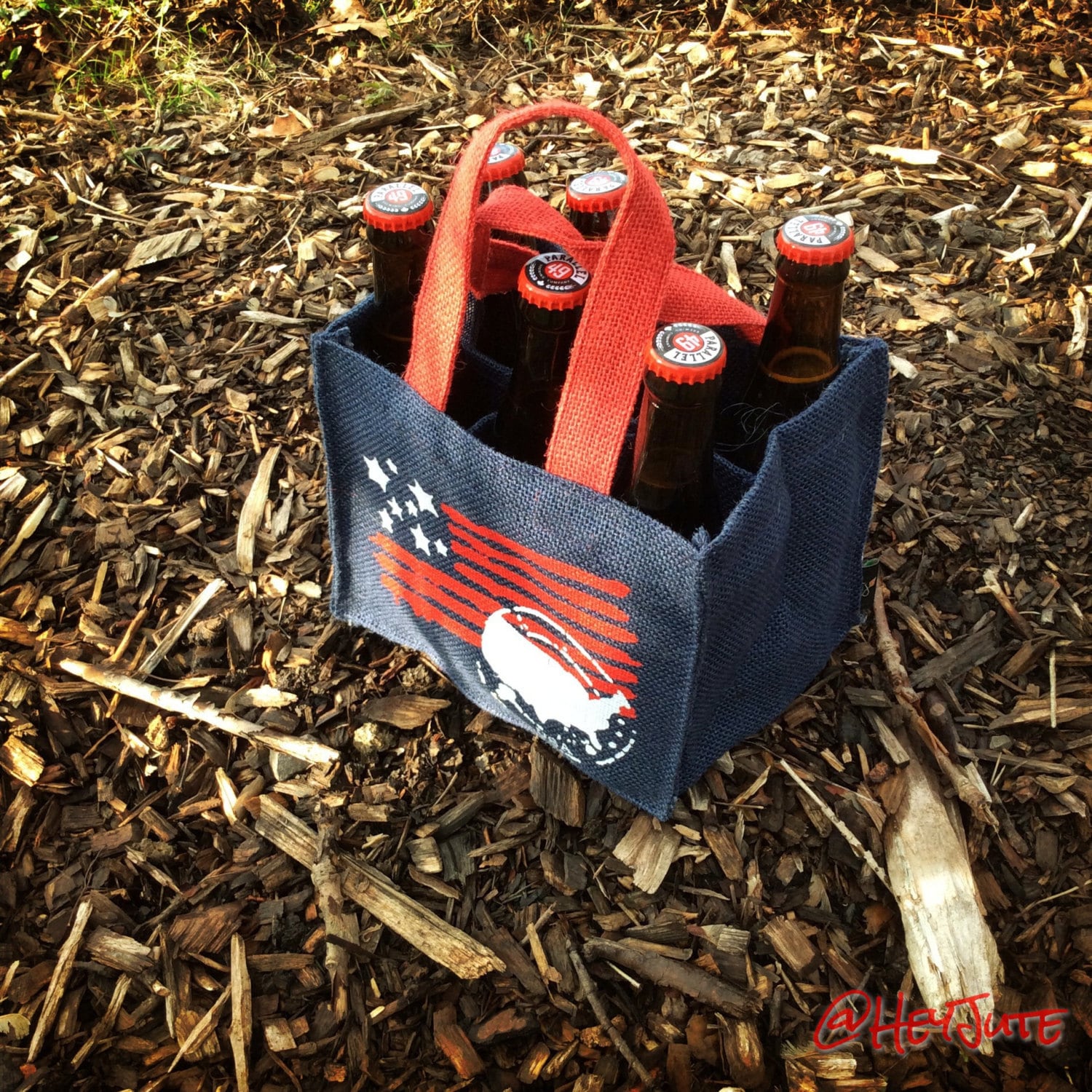 Pair of Two 6-pack Beer Bottle Bag. American USA Independence Day ...