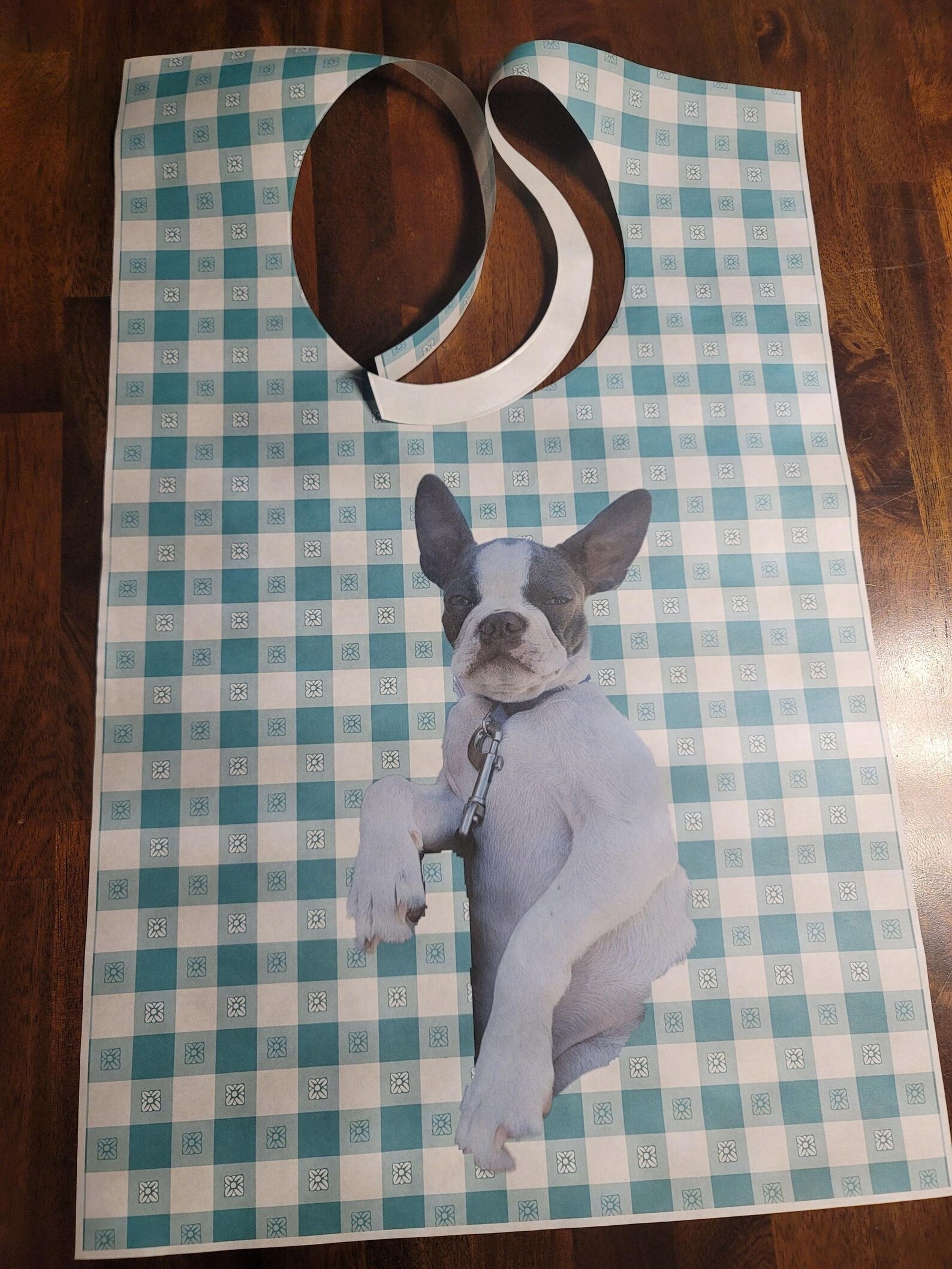 Full Color Custom Printed Party Bibs Adult Disposable Great - Etsy