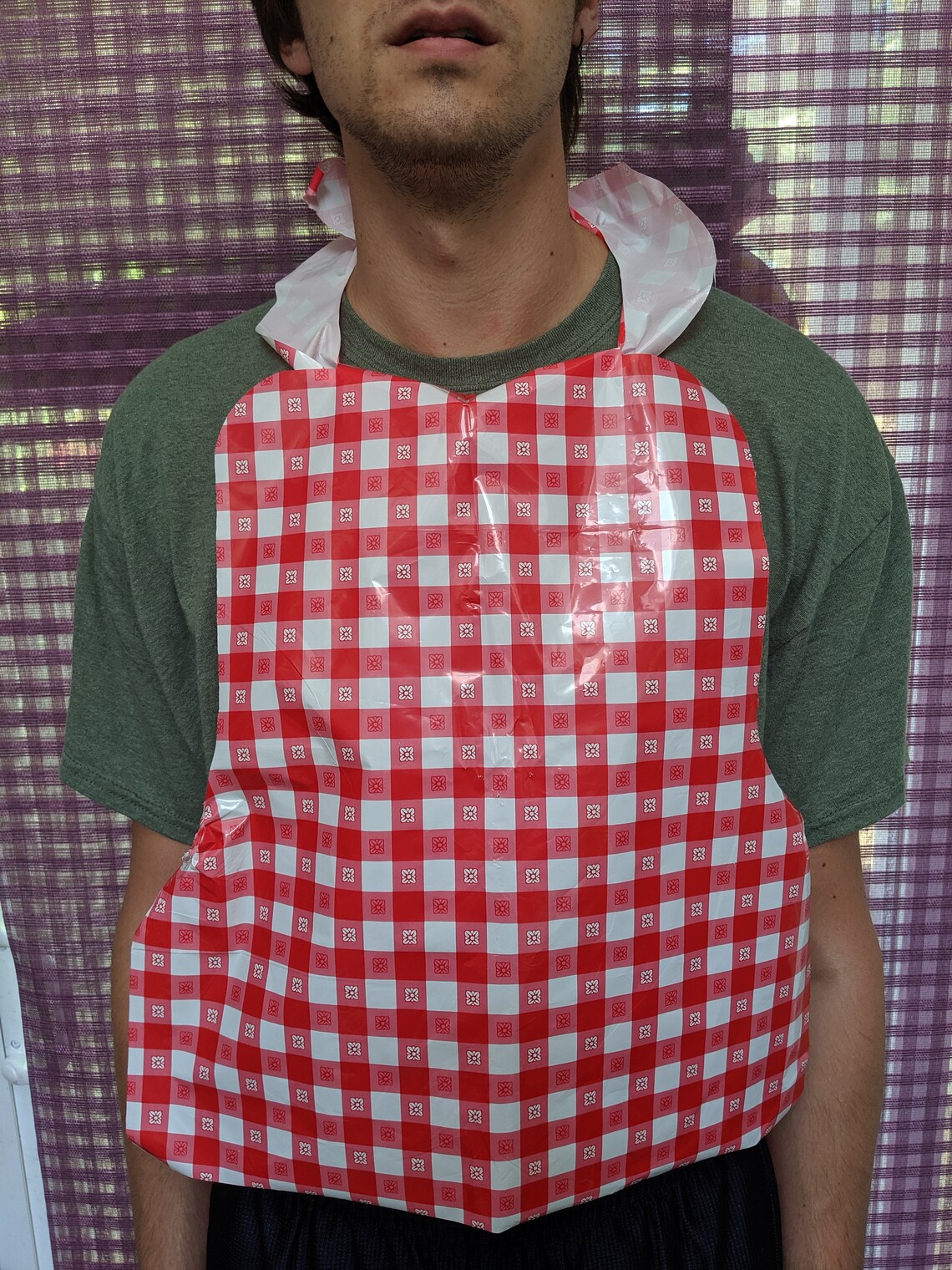 PLASTIC Bibs, Red Gingham Design Poly Party Bibs, Perfect for Picnic ...