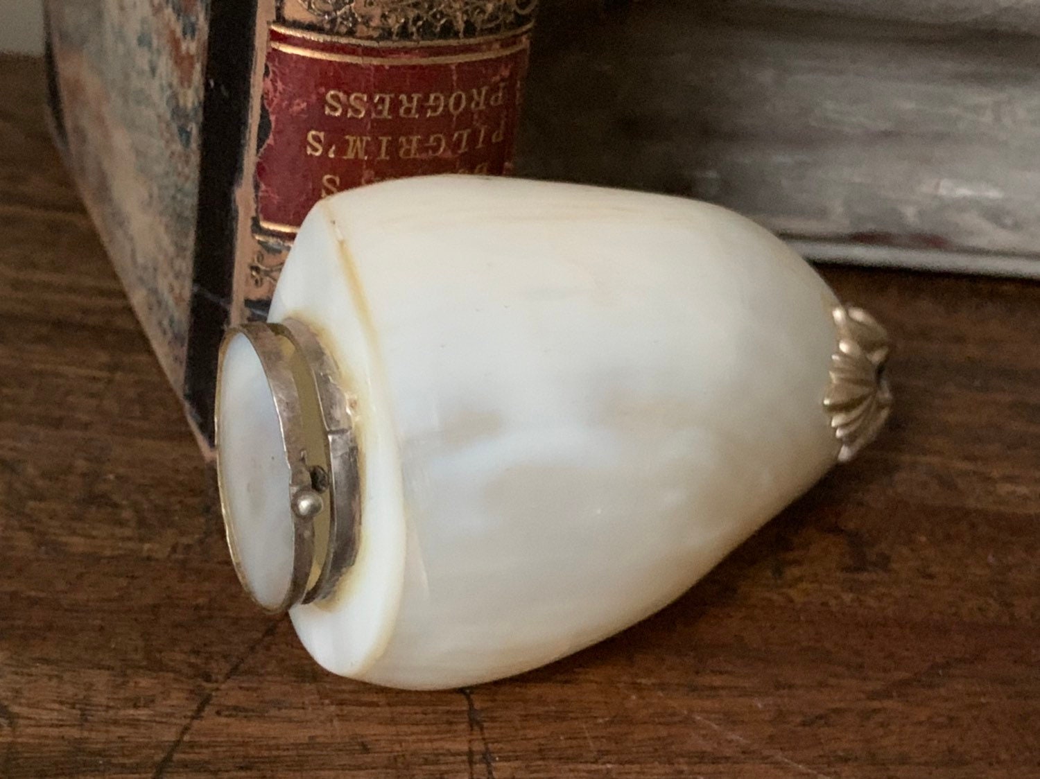 Beautiful 19th Century Mother Of Pearl Shell Snuff Box