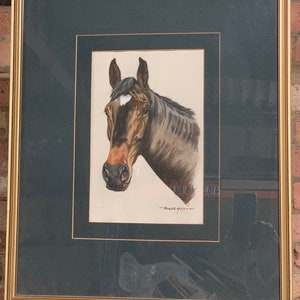 Original Roger Heaton Watercolour of A Horse Titled 'larnson' and Dated ...