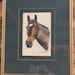 Original Roger Heaton Watercolour of A Horse Titled 'larnson' and Dated ...